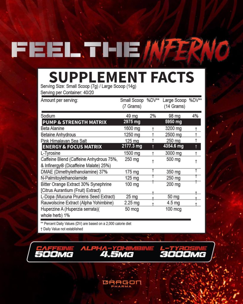 Venom Inferno 40/20 Servs / EXTREMO – NutriSport
